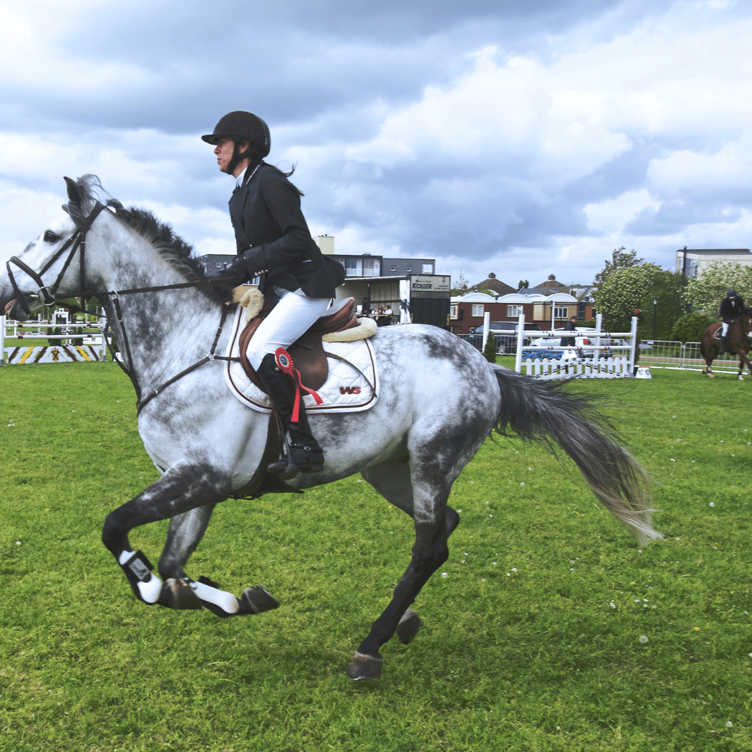 Nakayama Grand Jump | Funabashi, Japan - Luxury Guide USA