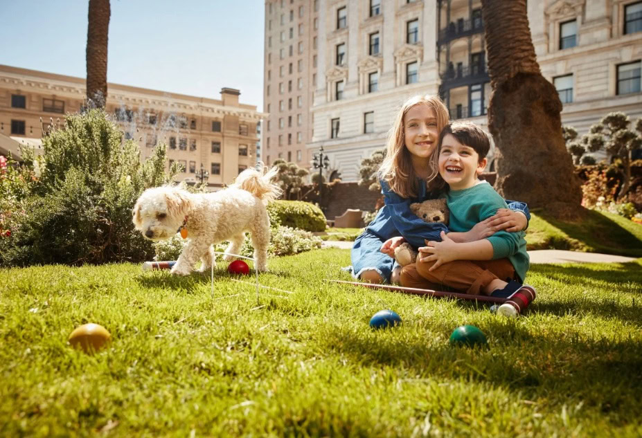 The American Summer | 6 Travel Experiences to Discover in 2026